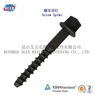 China Customized  Sleeper Screw Spike for sale