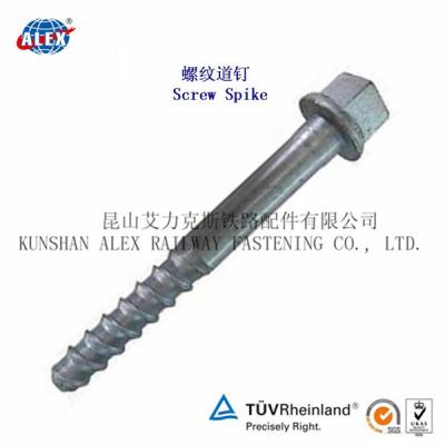 China Rail Timber Screw, Carbon Steel Railroad Spike Screw for sale