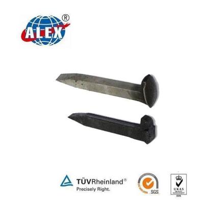 China Leading Railway Parts Supplier Rail Dog Spike for sale
