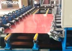 Máquina de moldagem de rolos de painéis de portas de chapas de aço pre-cortadas