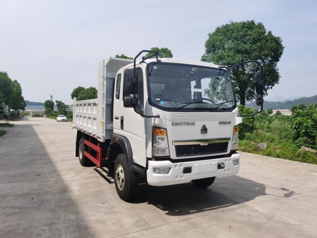 New and Used 4X2 Light Cargo/Dump Truck for Africa