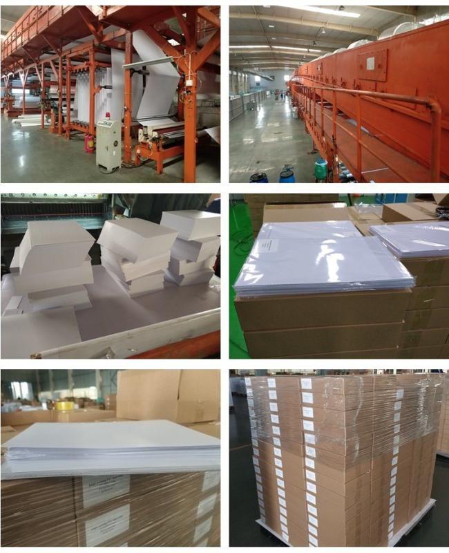 PVC Card Material Inkjet Printable Sheet and Coated Film Overlay PVC