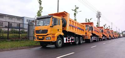 Cina Personalizzazione Shacman 8X4 Heavy Duty Dump Truck Potenza 351-450 CV Richiesta personalizzata in vendita