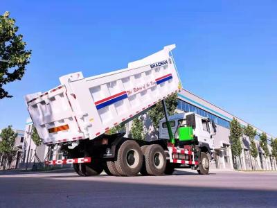 Cina Disegno pneumatico radiale LHD/Rhd Shacman 6X4 10 ruote Dump Tipper Truck per infrastrutture in vendita
