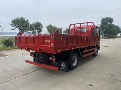 China 4X2 Light Cargo/Dump Truck for Africa LHD/RHD Driving Style ECE Tire Certification for sale