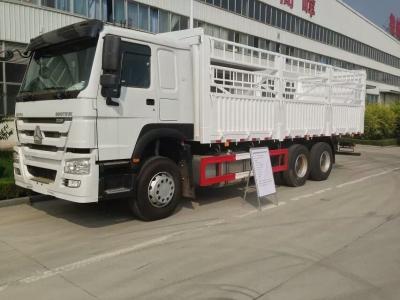 China Sinotruck 6X4 Engine Capacity＞8L 371HP 30 Tons HOWO 10 Wheeler Cargo Truck Customization for sale