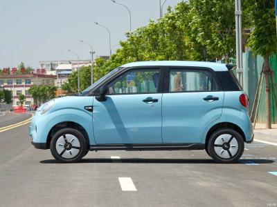 China 2920x1493x1621 mm Pequeno SUV elétrico Carro Energia e 80000 100000 Km Bateria para Urbano à venda