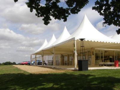 China Easy Set up canopy, gazebo tent 20x20 feet canopy tent, pagoda tent for sale white color for sale