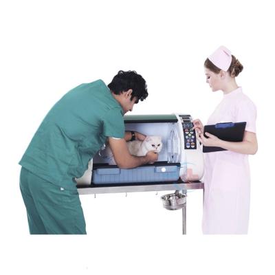 China UCA 10 white Automatic Pet Incubator For Pet ICU Dog Incubators for sale