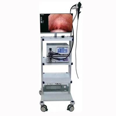 China CMD 60A Pet Veterinary Medical Equipment Endoscope Video Gastroscope For Pets And Animals for sale