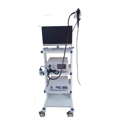 China CMD 60A Pet Veterinary Medical Equipment Endoscope Video Gastroscope For Pets And Animals for sale