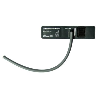 China DBP 8 Veterinary Portable Doppler Blood Pressure System Vascular Doppler For Pets for sale