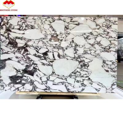 Cina Lastre di marmo naturale italiano Calacatta Viola per il bancone della cucina moderna e la parete interna in vendita
