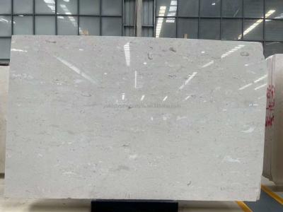 Cina Progetti di costruzione su piccola scala Essential Popular Light Beige Natural Marble Wall Tile in vendita