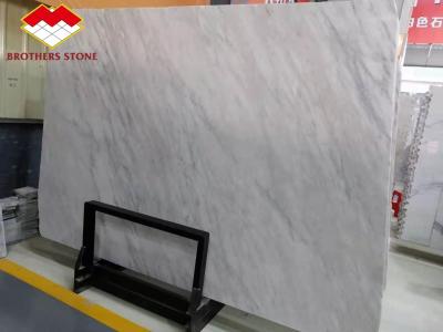 China Tamanho personalizado Interior de design europeu Marmo branco esculpido Trepadeiras e elevadores à venda