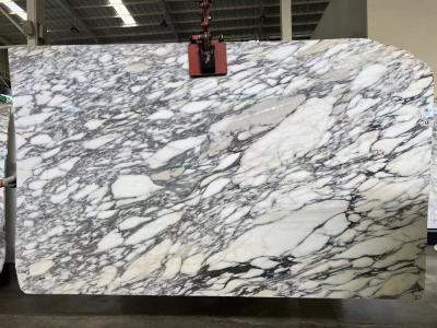 China Villa Modern Design gesneden Italiaanse Arabescato Corchia Witte Marmeren Vlam op maat Te koop