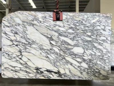China Villa Modern Design gesneden Italiaanse Arabescato Corchia Witte Marmeren Vlam op maat Te koop