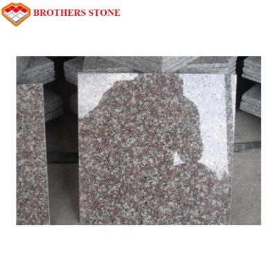 Cina La pietra del granito G664 piastrella 24x24 resistente all'acido con densità 2.61g/Cm3 in vendita