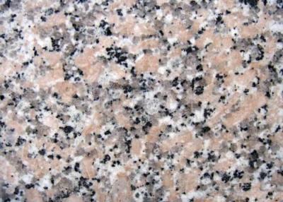 Cina Mattonelle del granito di rosa del granito 60x60 della decorazione interna G635 per la parete e la pavimentazione in vendita