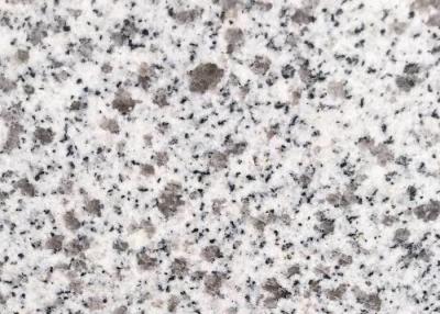 Cina Granito bianco G603 della camelia popolare naturale per la piastrella per pavimento e le scale in vendita