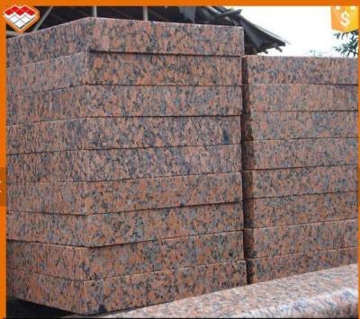 Cina Il granito rosso della foglia di acero dell'edificio per uffici per G652 pavimenta la pietra in vendita
