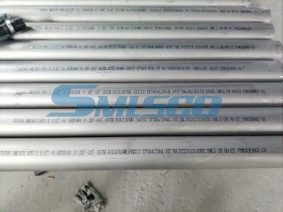 China ASTM A312 TP2205 Duplex Steel Seamless Pipe Large Diameter In Stock for sale