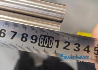 Cina Disponibilità all'ingrosso di tubi per strumentazione senza saldatura ASTM A213 TP316L con ricottura brillante in vendita