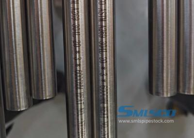 Cina Tubo senza saldatura lucidato TP304L ASTM A269 per settore automobilistico in vendita