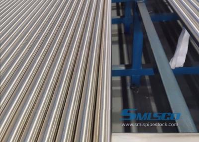 Cina Tubo senza saldatura lucidato TP304L ASTM A269 per settore automobilistico in vendita