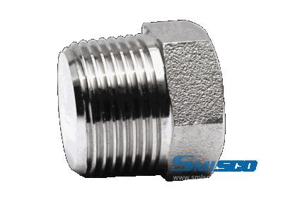 China ASTM A182 F316L Stainless Steel Hex Head Plug NPT Threaded Forged Pipe Fitting for sale