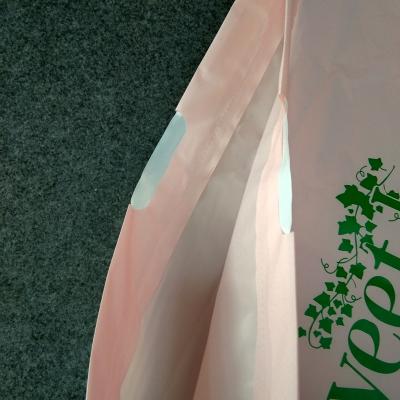 China PE Waterproof Drawstring Bag 30x10x20cm Flexo Printing With Handle for sale