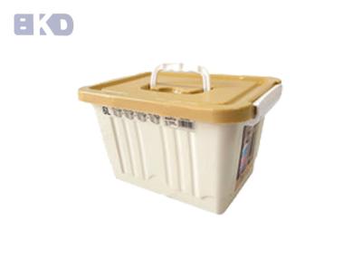 Cina Stampaggio ad iniezione di plastica di stoccaggio della casa staccabile di casi LKM in vendita
