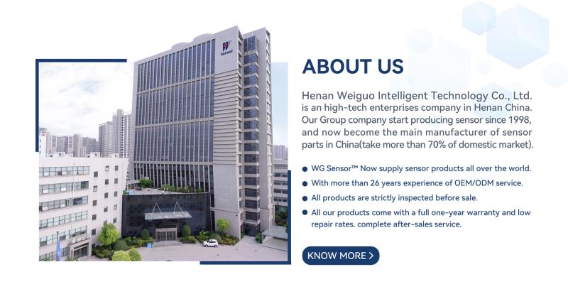 Henan Weiguo Intelligent Technology Co., Ltd.