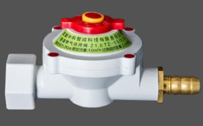 China CJ/T447 Self Closing Gas Cut Off Valve G1/2'' Inlet 1/2'' Outlet for sale