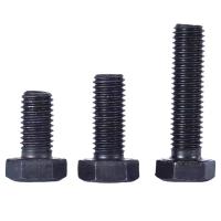 Quality China Fastener Manufacturing Bolts and Nuts High Strength Bolts Custom Bolts and for sale