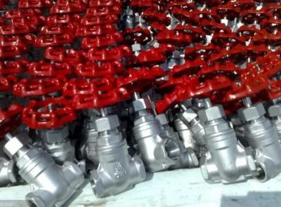 China Stainless Steel CF8 Material Gate Valve by Manual Operator with Screw Conection for sale