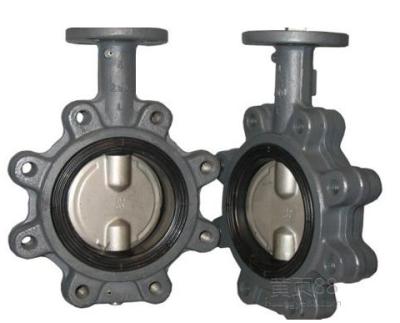 China Lug Type Casting Iron Material Concentric Butterfly Valves NPS2