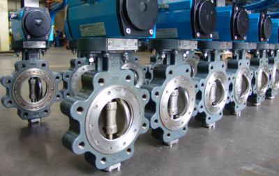 China Butterfly Valve by manual Operator with Stainless Steel Material for sale