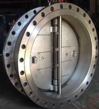 China ASTM A216 WCB Wafer Type RF Check Valve 18