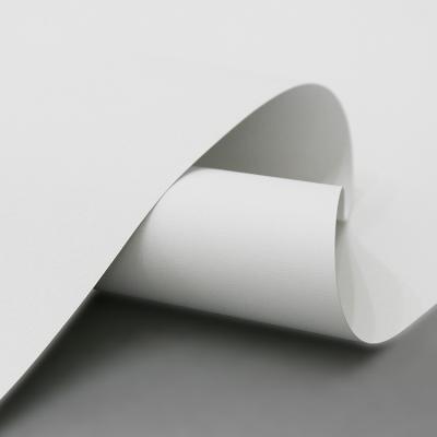Cina Blackout High Quality 100% Polyester Most Popular Roller Window Blinds Fabric in vendita