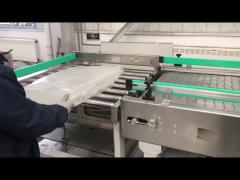 Automatisches Zertifikat des Viskositäts-Verbesserer-Auflösungssystem-ISO 3A