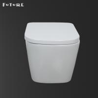 China High Density Smart Commode Back To Wall Washdown Toilet Smooth Glazed for sale
