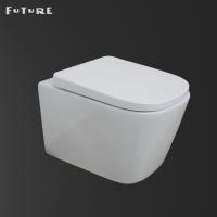 China High Density Smart Commode Back To Wall Washdown Toilet Smooth Glazed for sale