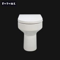 China Projection Fully Back To Wall Toilet Washdown Flushing for sale