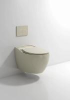 China Smooth Glazed Beautiful Wall Mounted Commode With Cistern Concealed for sale