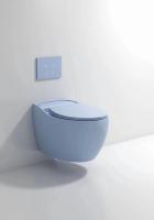 China Smooth Glazed Beautiful Wall Mounted Commode With Cistern Concealed for sale