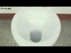 Soft Close Seat Cover Close Coupled BathroomT TOILET UK MARKET