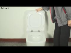 SD920 Short Projection Close Coupled Bathroom Toilet 0.79-1.58 Gallons Flushing