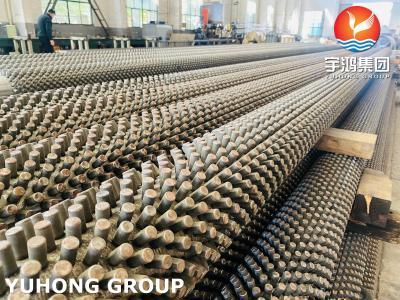 Cina TP316L ASTM A312 Tubo in acciaio inossidabile per forni e raffinerie di petrolio in vendita
