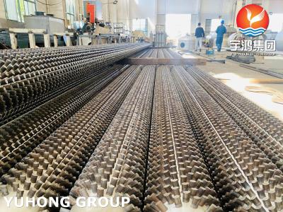 Cina TP316L ASTM A312 Tubo in acciaio inossidabile per forni e raffinerie di petrolio in vendita